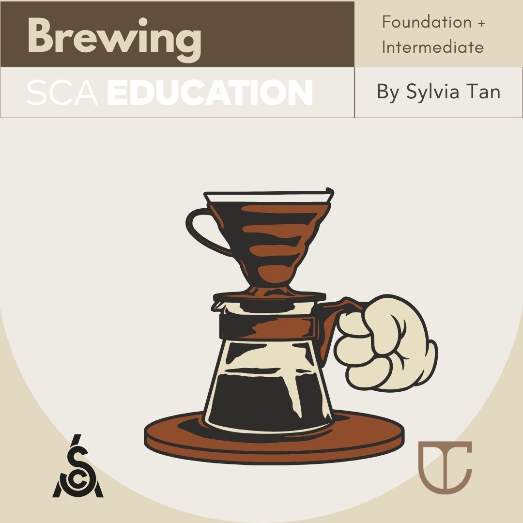 SCA COFFEE BREWING COURSE 冲煮课程 – Discover Coffee