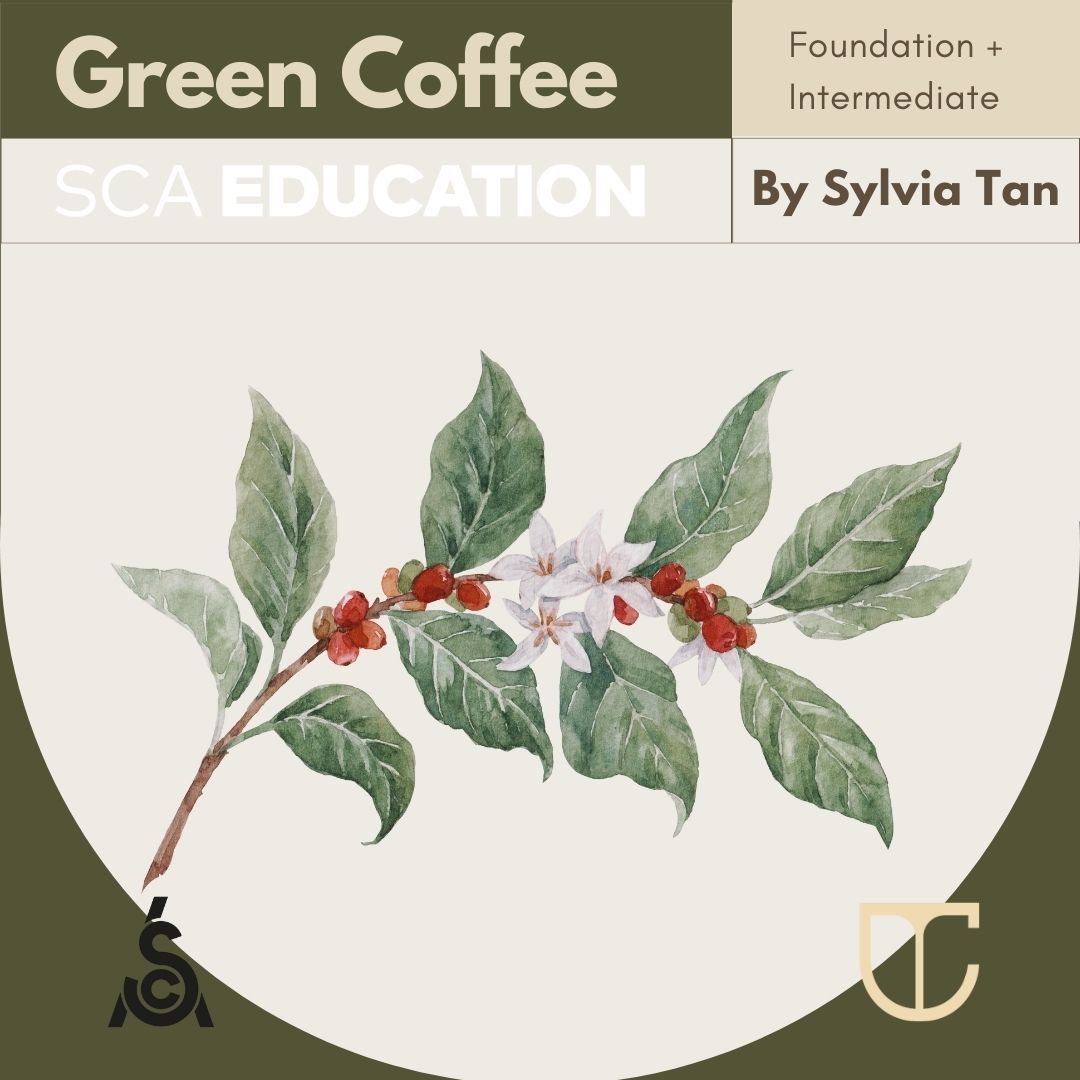 SCA GREEN COFFEE COURSE 咖啡生豆课程 – Discover Coffee