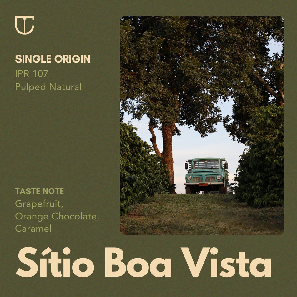 more than a cup – Discover Coffee