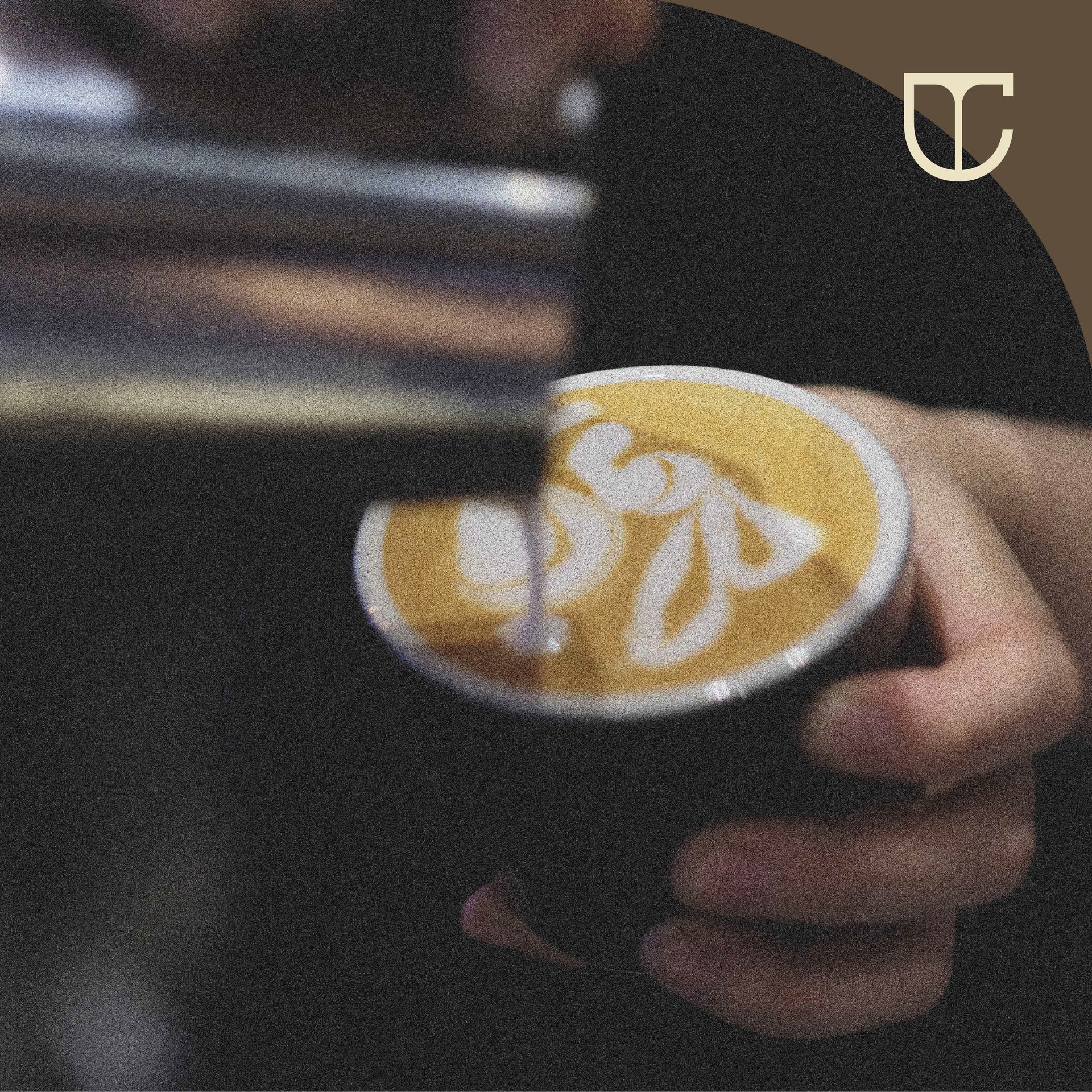 SCA Diploma Courses – Discover Coffee